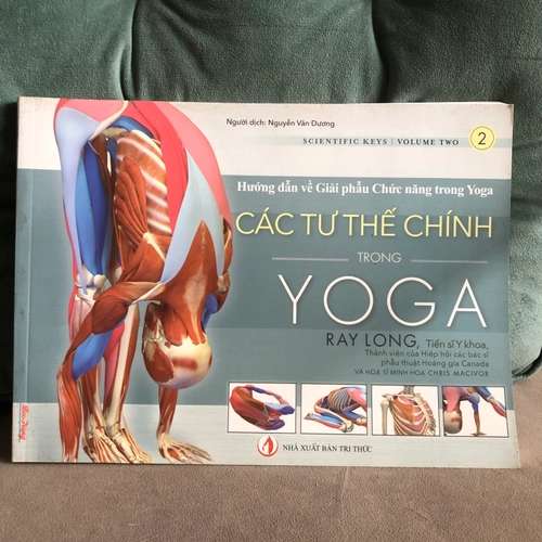 Hướng Dẫn Về Giải Phẫu Chức Năng Trong Yoga Các Tư Thế Chính Trong Yoga ...