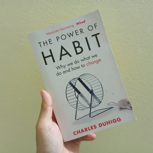 The Power Of Habit, Sách Ngoại Văn Tiếng Anh, English Book, Tiểu Thuyết ...