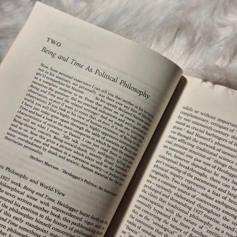 Richard Wolin - The Politics Of Being: The Political Thought Of Martin ...