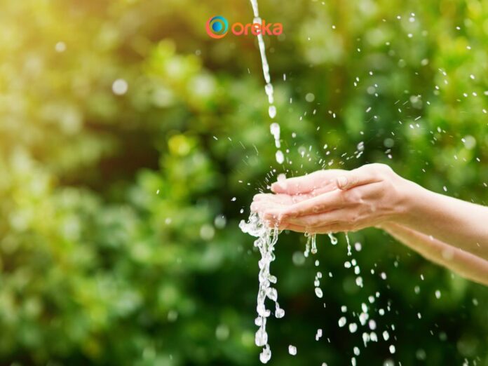 Tài Nguyên Thiên Nhiên Là Gì? Thực Trạng Khai Thác TNTN Hiện Nay