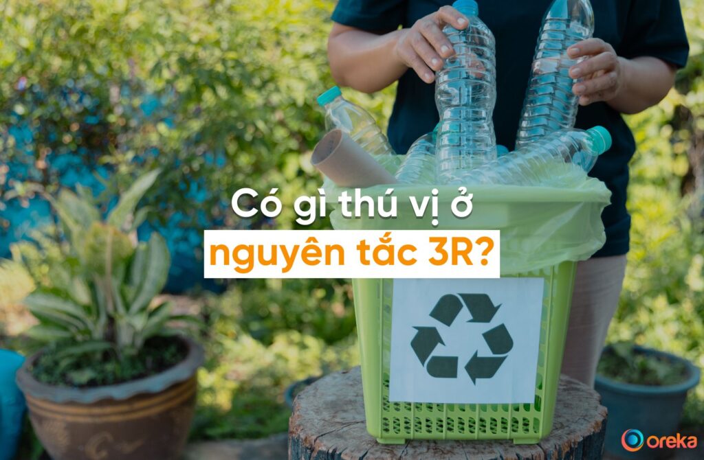 Nguyên Tắc 3R Là Gì? Giải Pháp Thực Hiện 3R Tại Việt Nam
